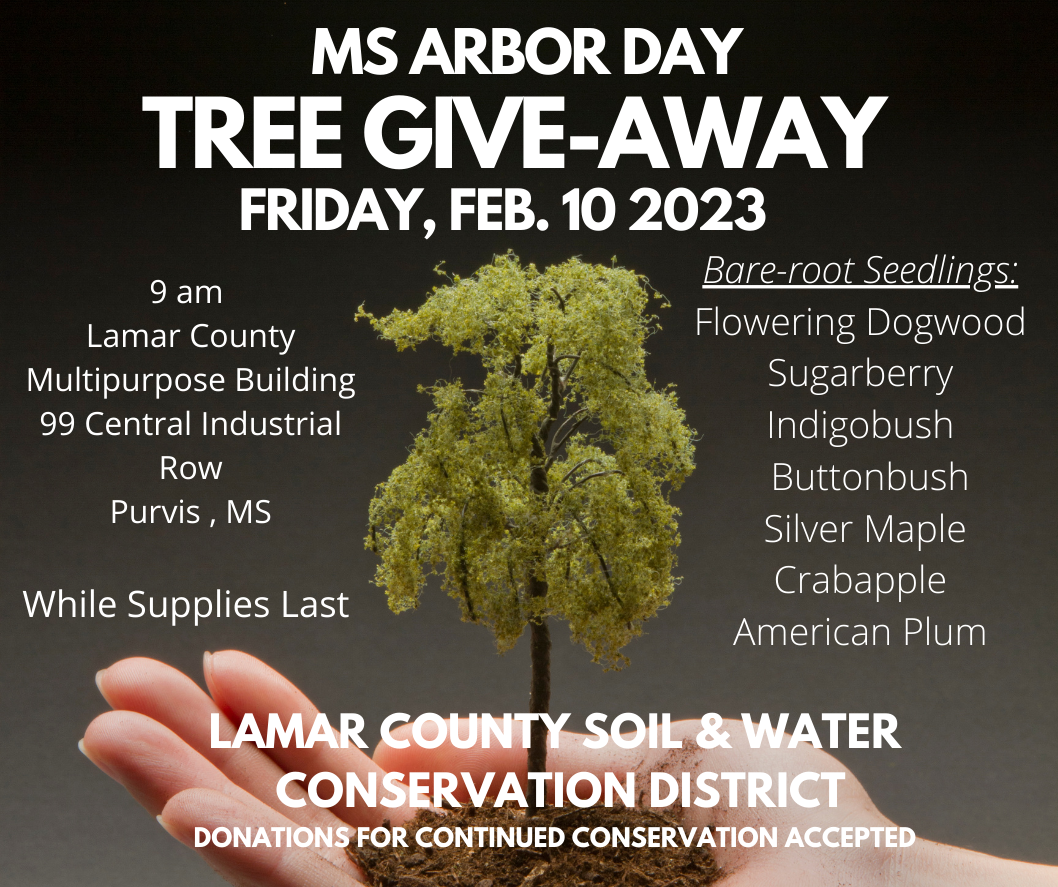 2023 Annual Tree- Giveaway